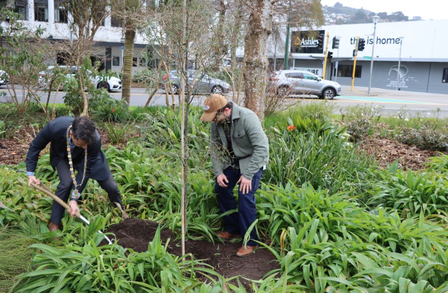 Wellington.Scoop » Lower Hutt hits target for planting native trees