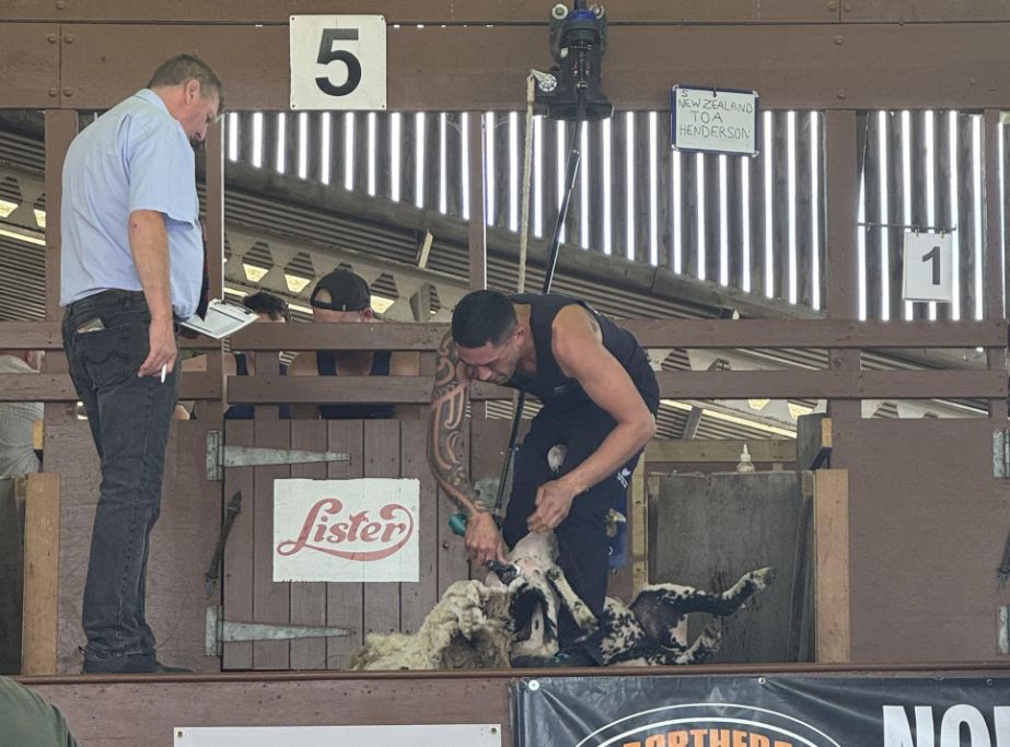 Shearing: New Zealand Pair Beats England In Great Yorkshire Show ...