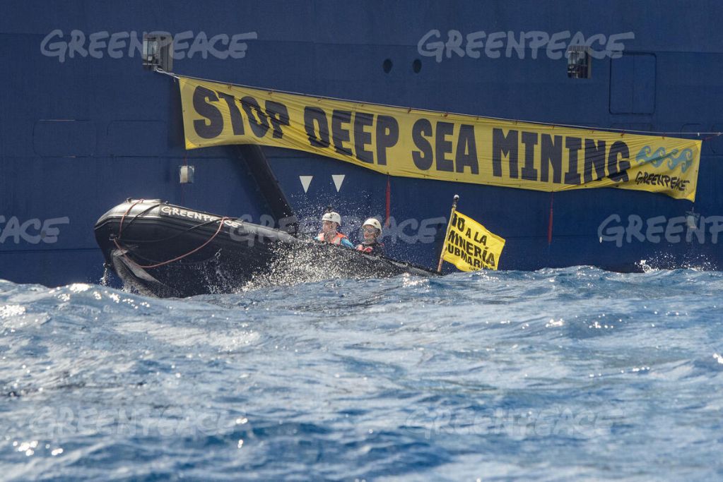 Threatened Whale Species In The Pacific Found In Areas Targeted By The ...