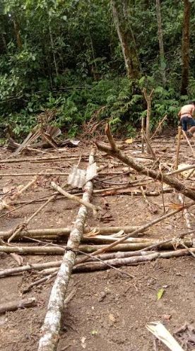 Penan Community Member Urgently Calls Sarawak Premier To Halt ...