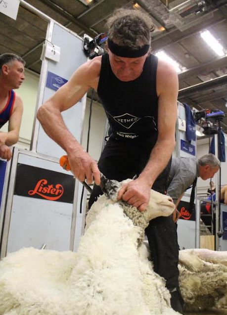 Merino Shears Open Big Season Shearing Sports In New Zealand | Scoop News