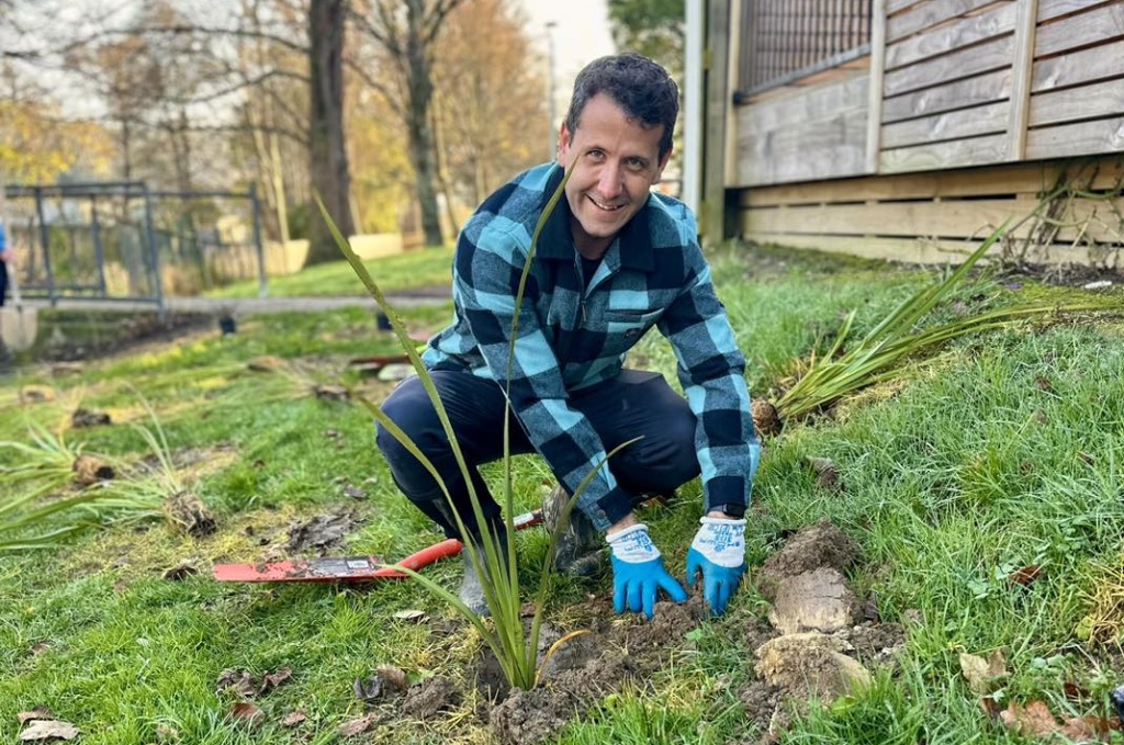Thousands Of Free Native Plants For Lower Hutt - Let’s Get More In The ...