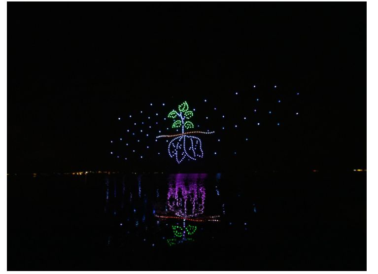 Aronui Hosts Thousands On The Rotorua Lakefront For Matariki Drone Show ...