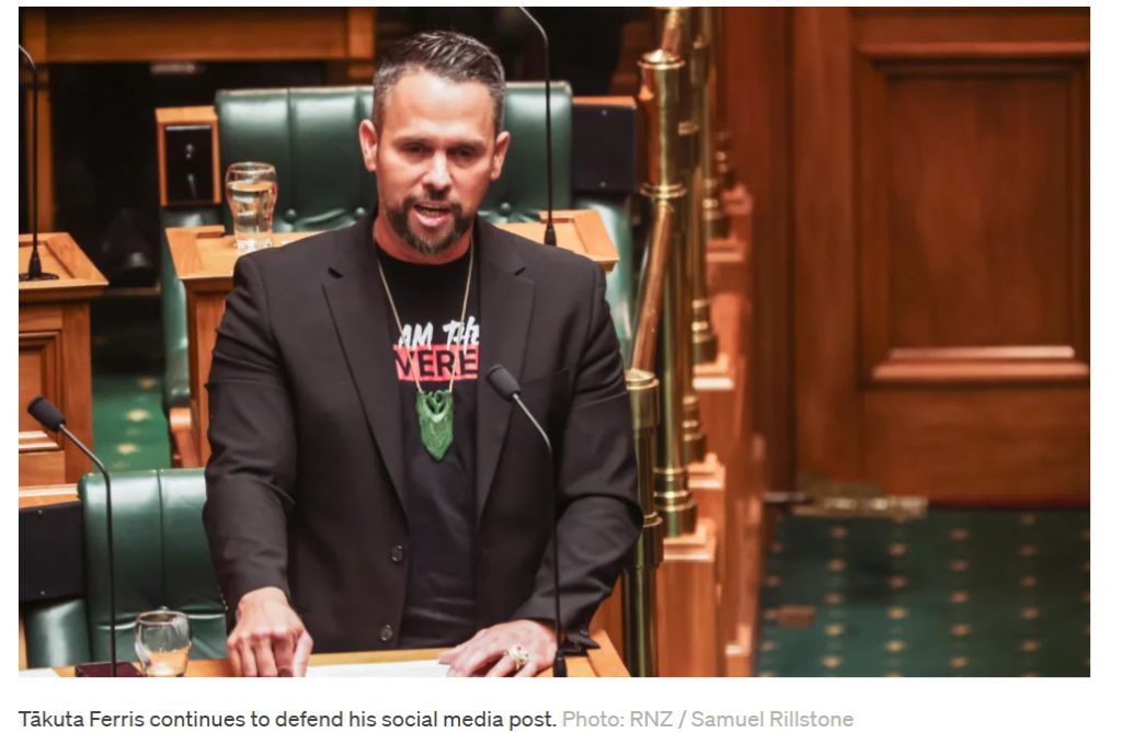 Te Pāti Māori's John Tamihere Defends Tākuta Ferris Comments, Agrees ...