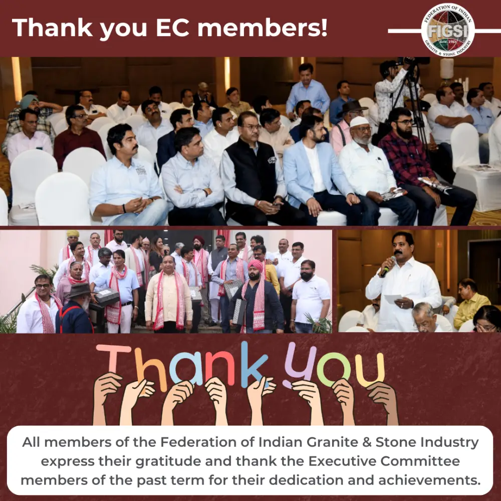 Thank you to all our past Executive Committee members | FIGSI Industry Hub