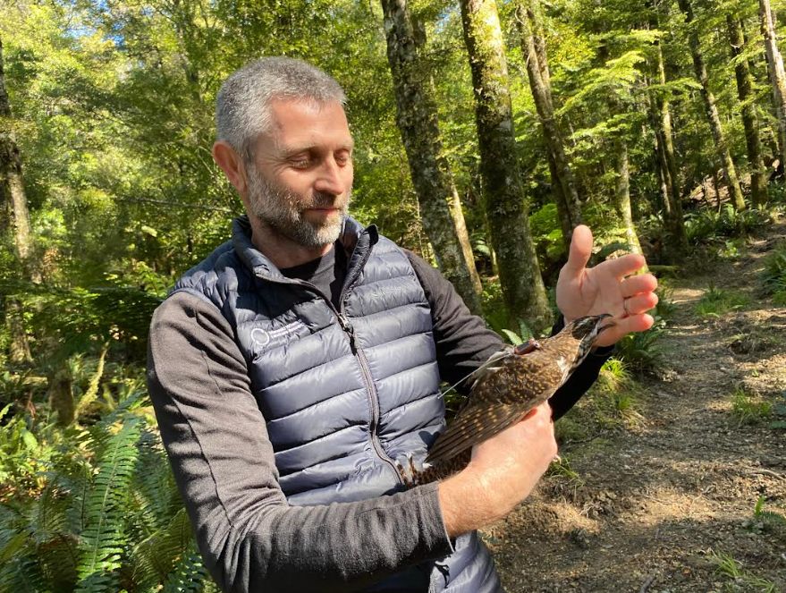 Deep In The Forest A Long, Piercing Shriek Is Sliding Into Silence ...