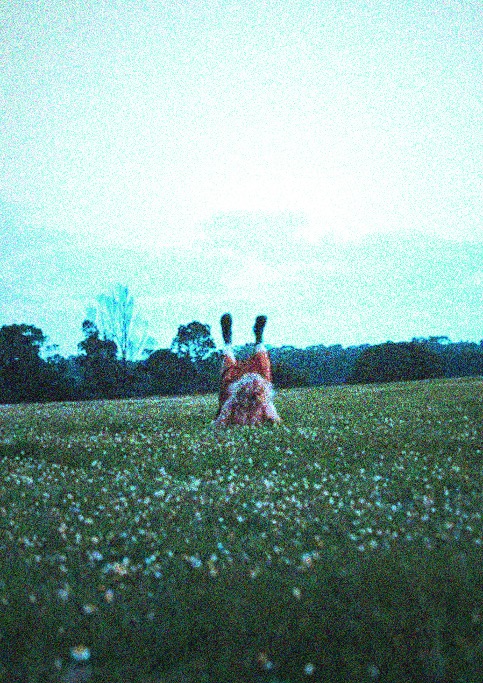 Debut Album From Lemon Myrtle Out This Friday | Scoop News