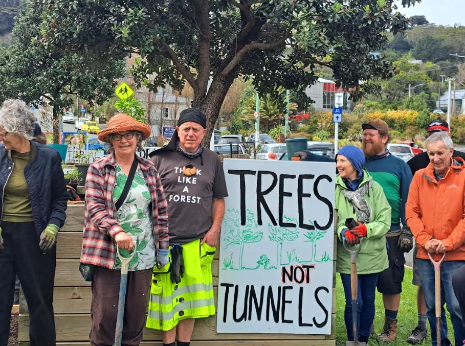 Community Scoop » Trees Not Tunnels At The Basin Reserve