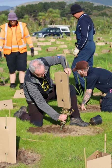 Celebrating 20 Years Of Restoration At Pharazyn Reserve | Scoop News