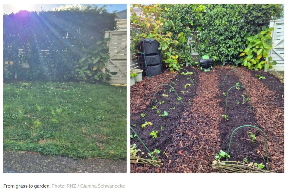 Country Life's Garden Diaries: From Lawn To Leafy Greens | Scoop News