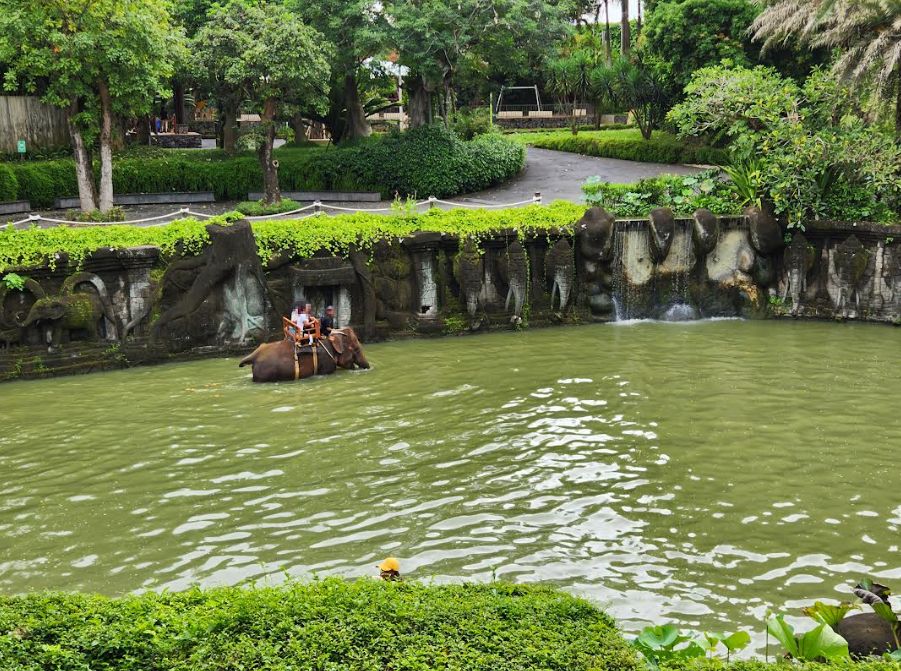 Bali Zoo Ends Elephant Riding | Scoop News