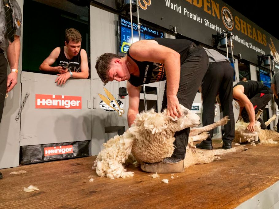 Napier Boys High Claims First Title At 2026 Golden Shears | Scoop News