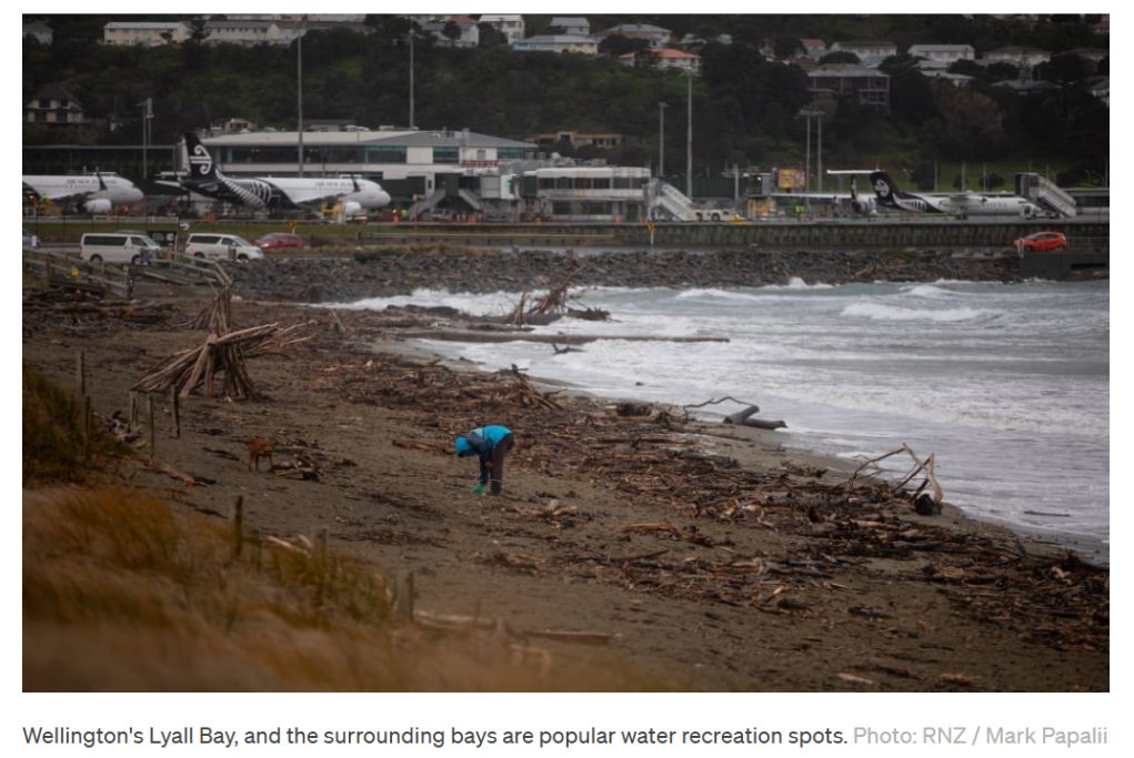 Wellington.Scoop » Water pollution warnings for south coast, Petone and ...