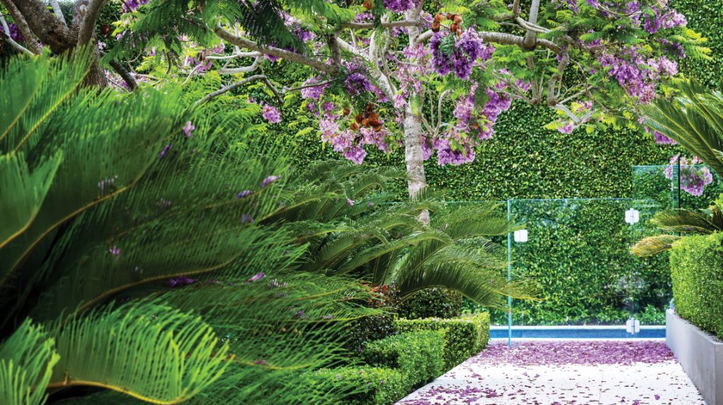Discover Auckland’s Most Inspiring Gardens At The Dove Hospice ...