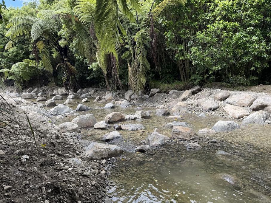 Ramping Up Fish Passage For Threatened Species | Scoop News