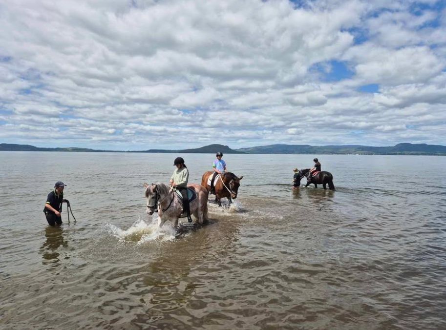 Community Scoop » Horses, Hope And Heart At EquiSucceed