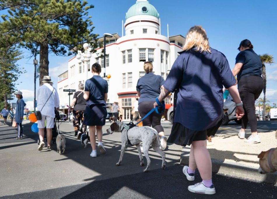 Who Let The Dogs Out? Napier’s Pawrade Celebrates A City That Loves Its ...