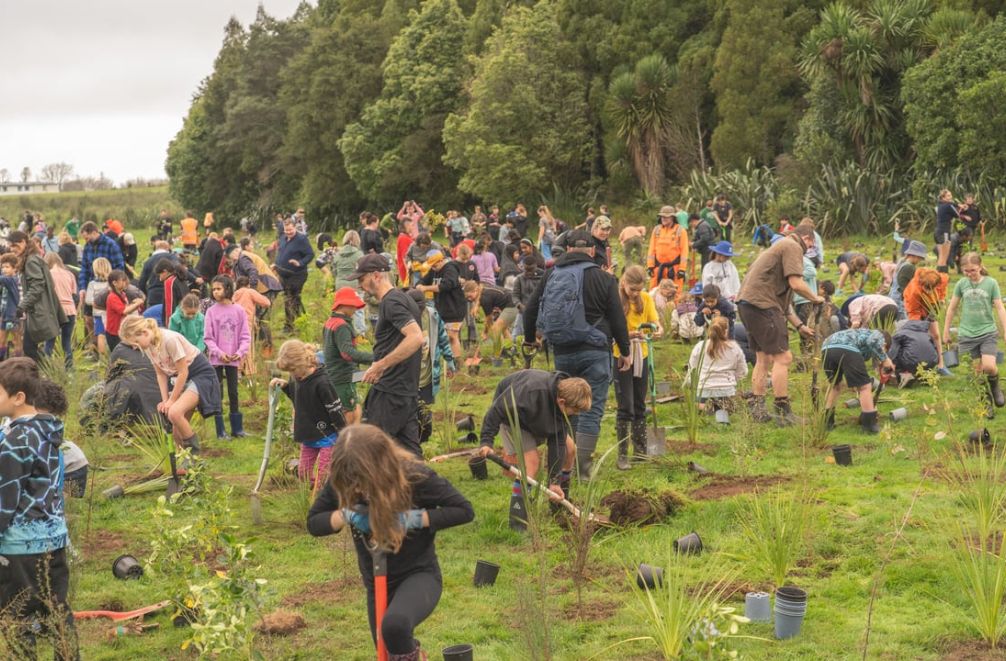 Ready, Set, Grow: Hamilton’s Community Planting Series Begins | Scoop News