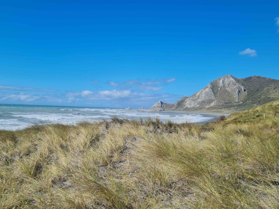 Business.Scoop » Urgent Call To Protect NZ’s Coastlines:Experts Say ...